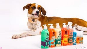 Atenção, cães e gatos! Au.Migos Pets convoca para nova campanha